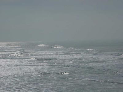 Sick Surf Pics